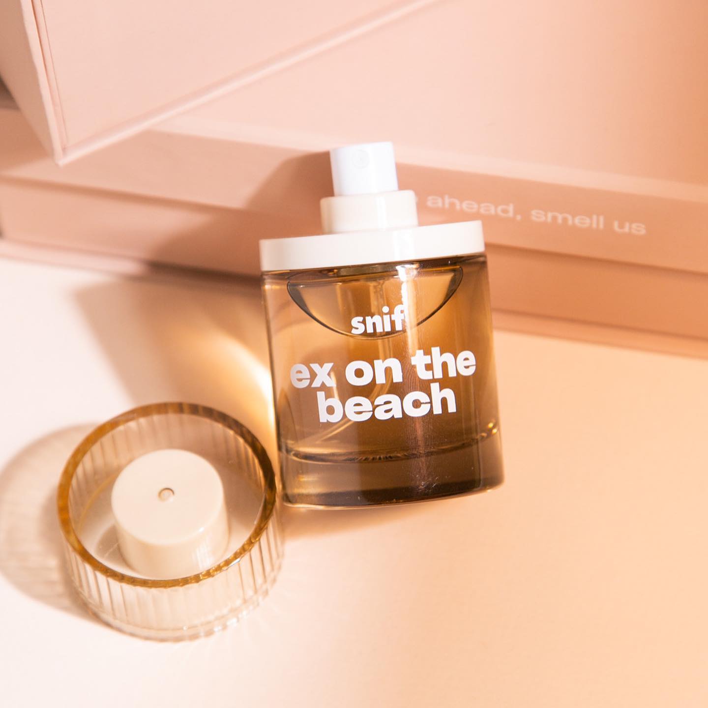 Snif Review - Must Read This Before Buying