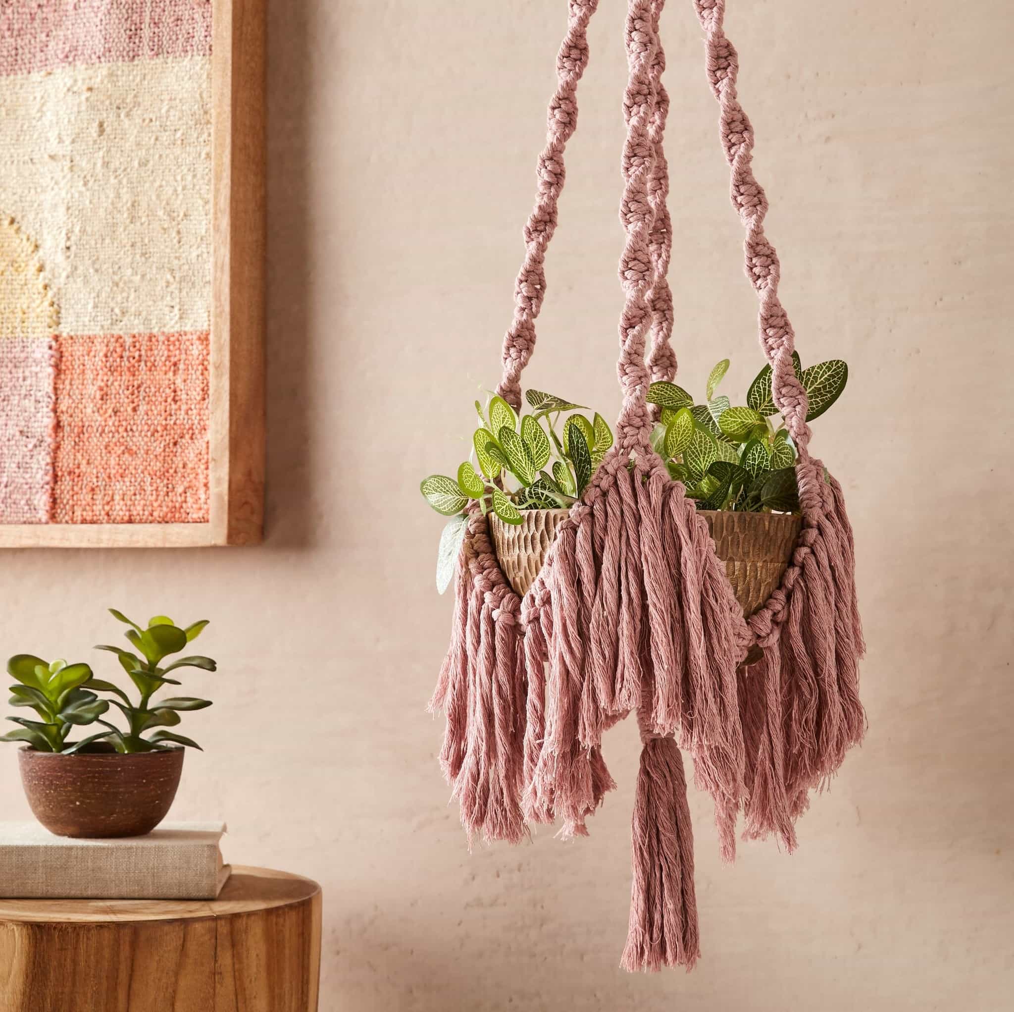 Spotlight Australia Review - Must Read This Before Buying