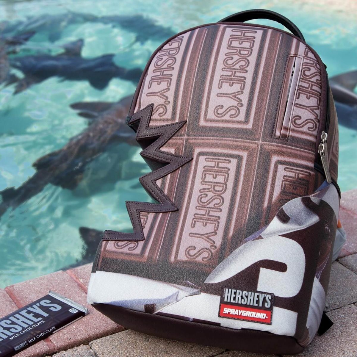 SprayGround Backpack Review - Must Read This Before Buying