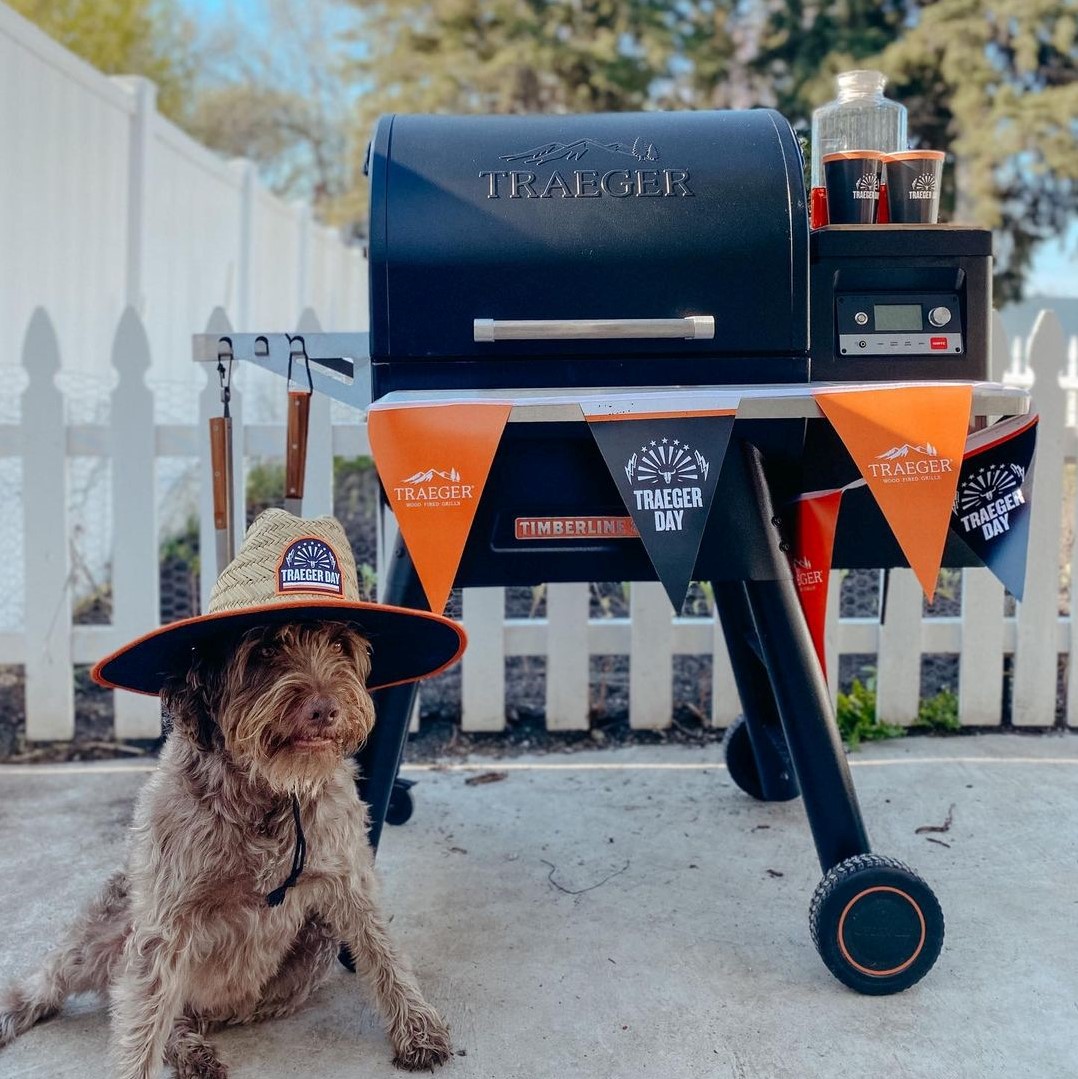 Traeger Review - Must Read This Before Buying