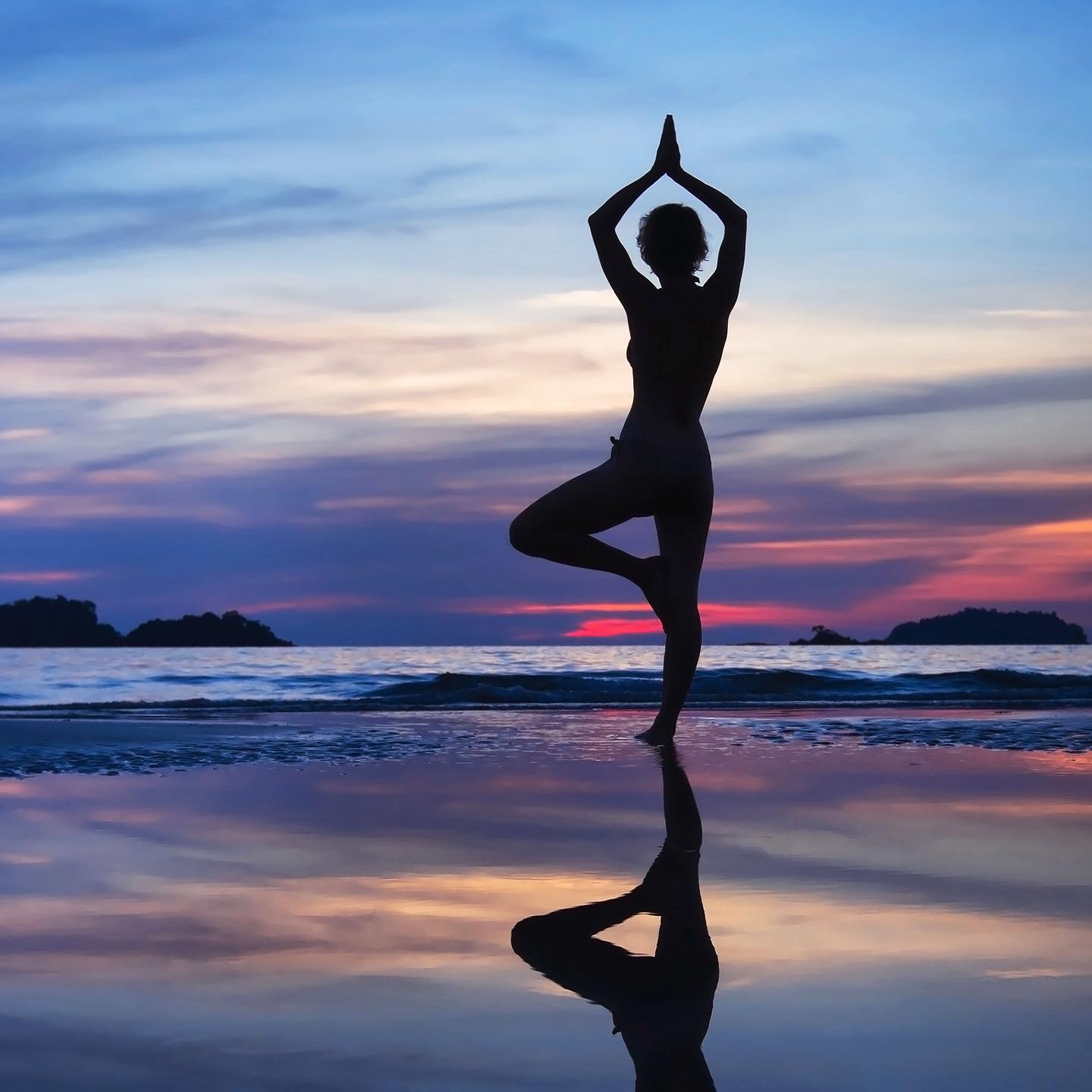 Vecteezy Review - Must Read This Before Buying