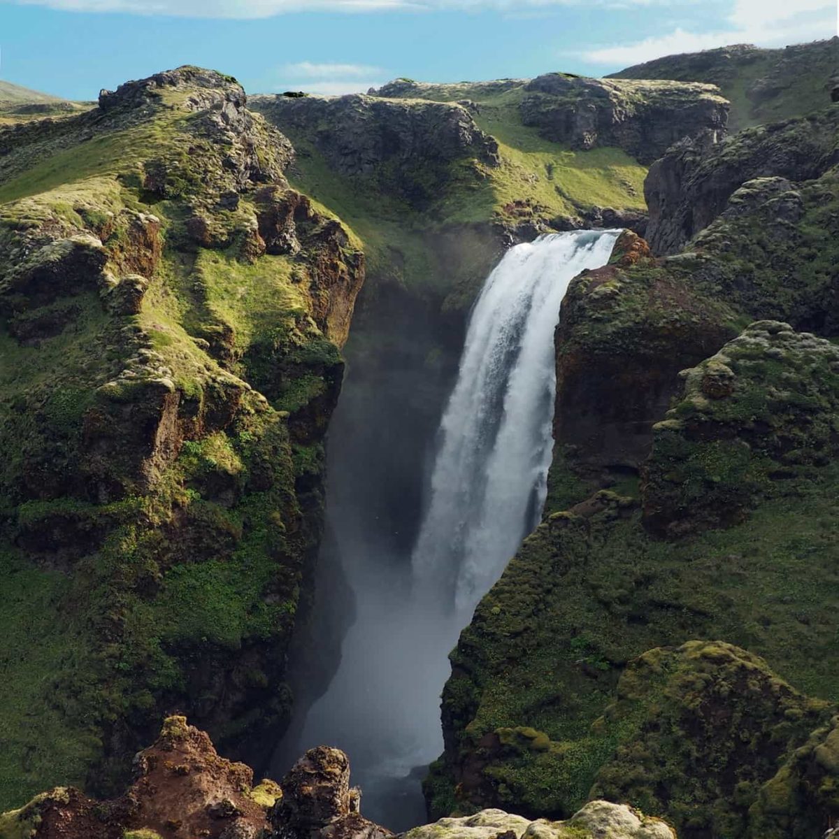 Vecteezy Review - Must Read This Before Buying