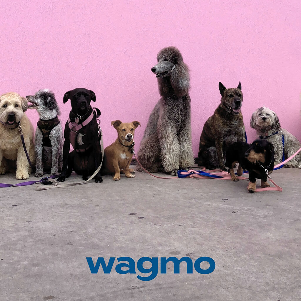 Wagmo Pet Insurance Review - Must Read This Before Buying
