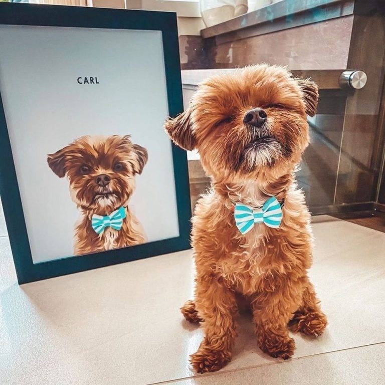 West and Willow Review - Must Read This Before Buying