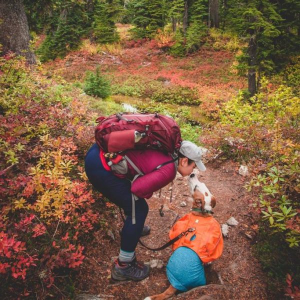 Baleaf Review - Must Read This Before Buying