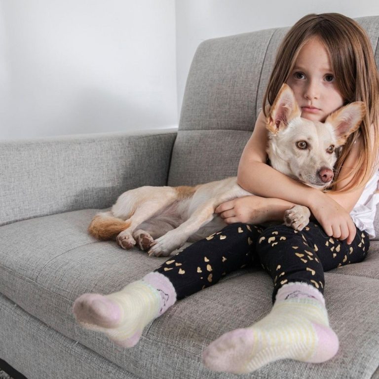 Coddle Couch Review - Must Read This Before Buying