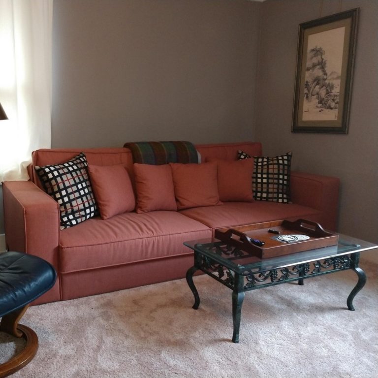 Coddle Couch Review - Must Read This Before Buying