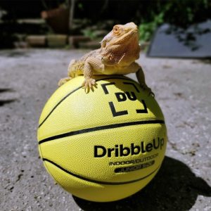 Dribble Up Review - Must Read This Before Buying