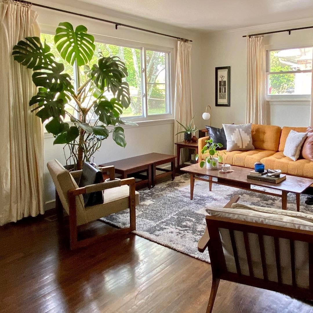 Fast Growing Trees Review - Must Read This Before Buying