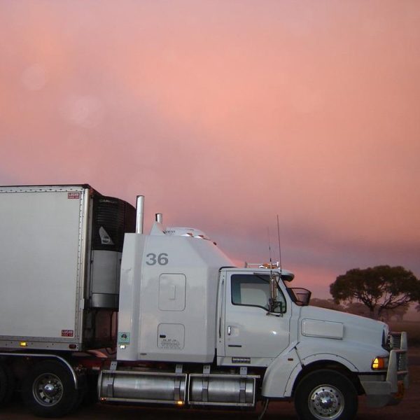 Montway Auto Transport Review - Must Read This Before Buying