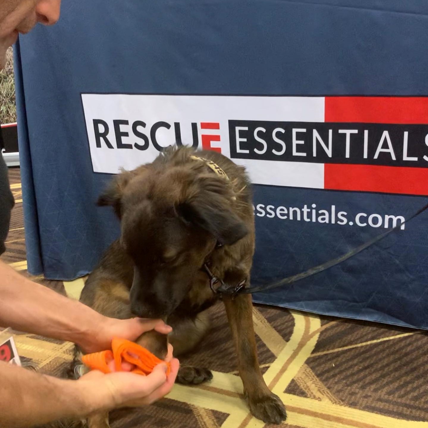 Rescue Essentials Review - Must Read This Before Buying