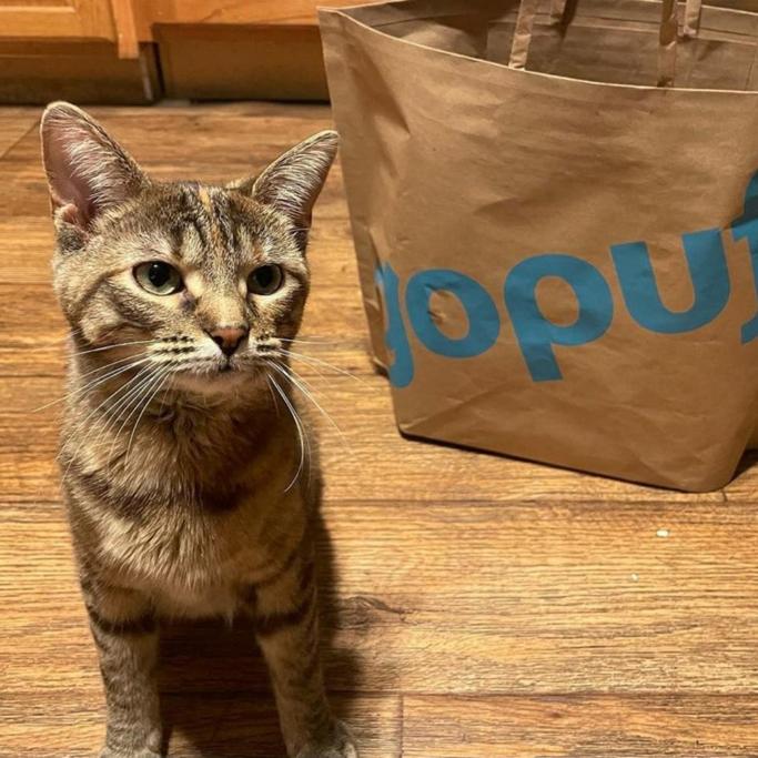 GoPuff Review - Must Read This Before Buying