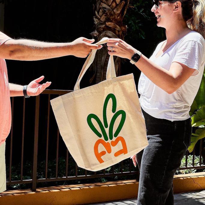 Instacart Review - Must Read This Before Buying