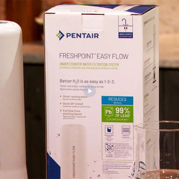 Pentair Review - Must Read This Before Buying