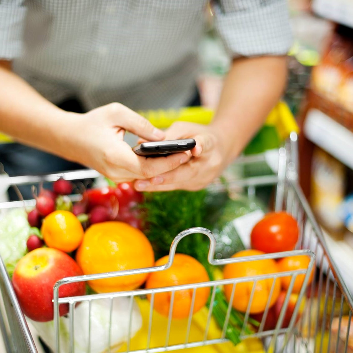 10 Best Personalized Wellness Plans - Must Read This Before Buying