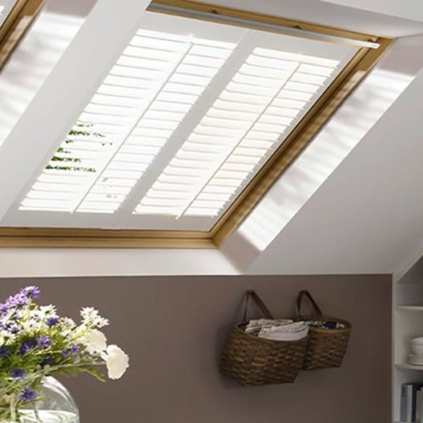 Closs and Hamblin Review - Must Read This Before Buying