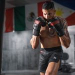 Hayabusa Review - Must Read This Before Buying