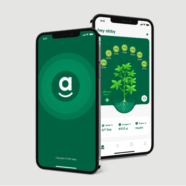 abby Grow Box Review - Must Read This Before Buying