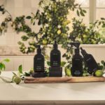 Homecourt Review - Must Read This Before Buying