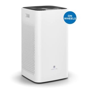 Medify Air Review - Must Read This Before Buying