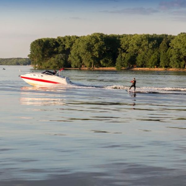 PartsVU Review - Must Read This Before Buying