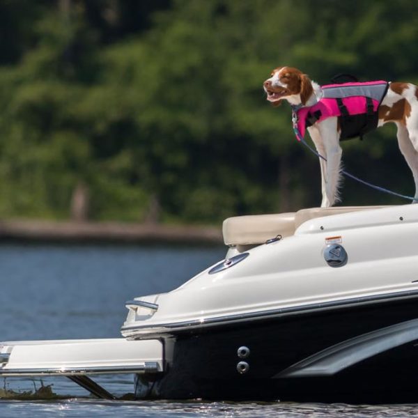 PartsVU Review - Must Read This Before Buying