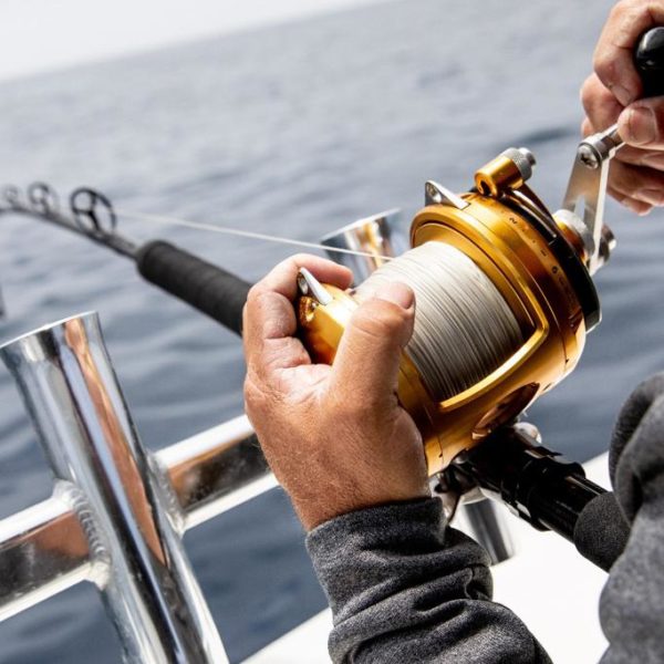 Penn Fishing Review - Must Read This Before Buying