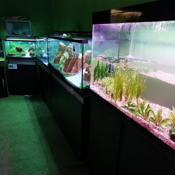 Pondkeeper Review - Must Read This Before Buying