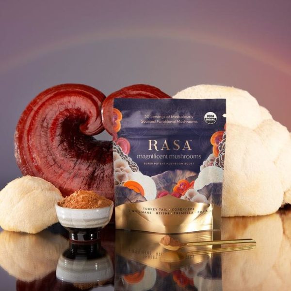 Rasa Review - Must Read This Before Buying