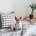 Sleep EZ Review - Must Read This Before Buying
