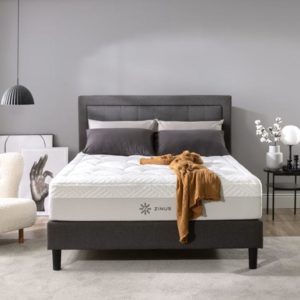 Zinus Review - Must Read This Before Buying