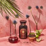 Magic Hour Review - Must Read This Before Buying