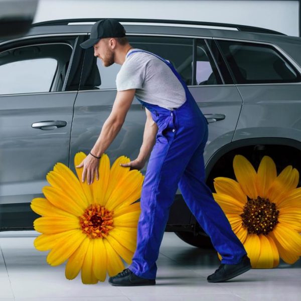 Olive Car Warranty Review - Must Read This Before Buying