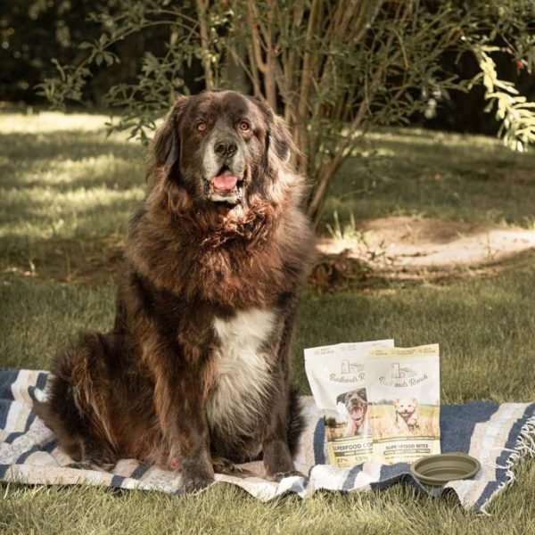 Badlands Ranch Superfood Complete Review - Must Read This Before Buying