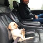 BarxBuddy Review - Must Read This Before Buying