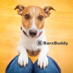 BarxBuddy Review - Must Read This Before Buying