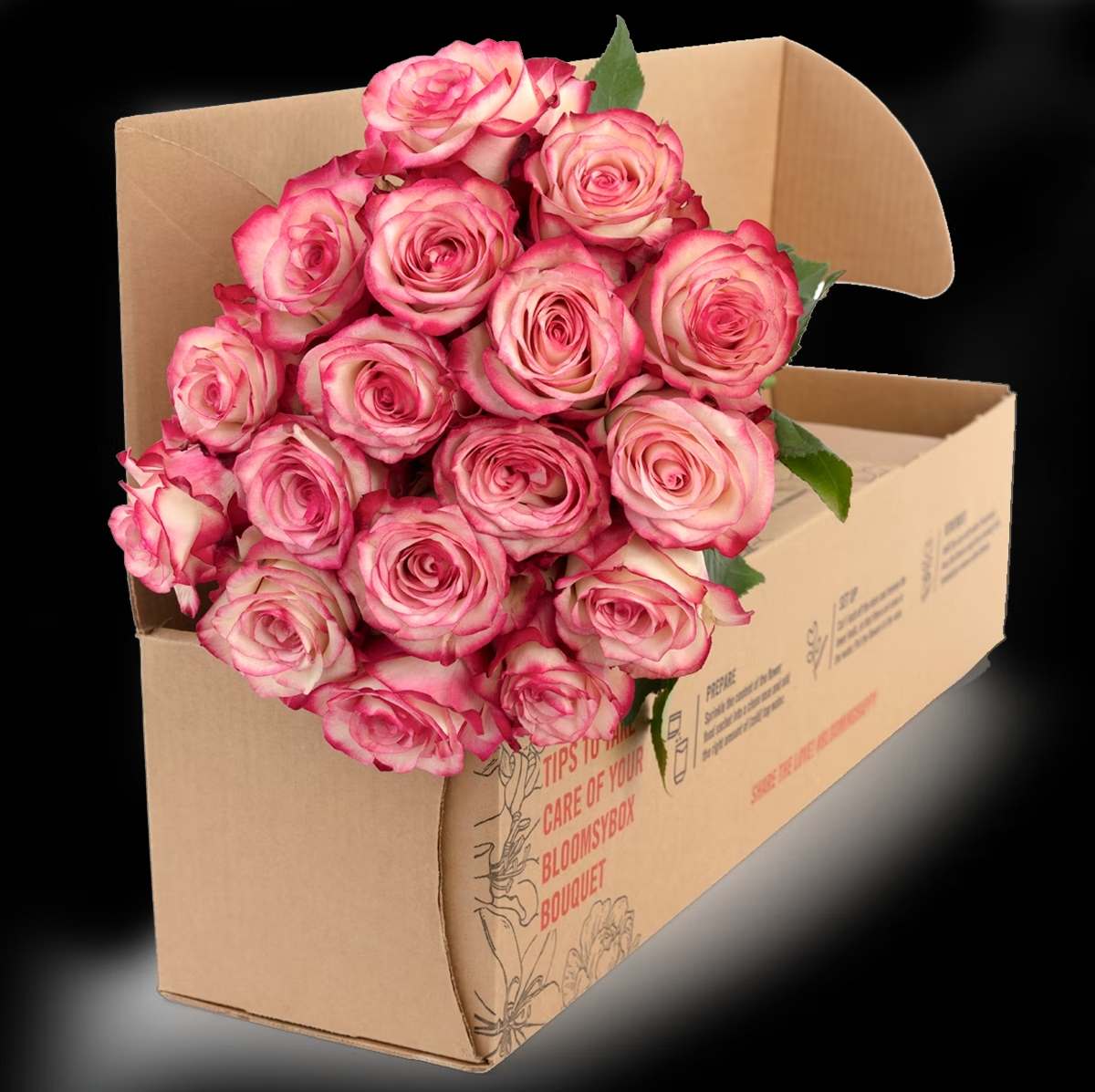 BloomsyBox Flowers Review - Must Read This Before Buying