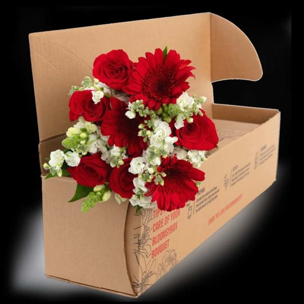 BloomsyBox Flowers Review - Must Read This Before Buying