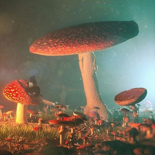 Everyday Dose Review - Must Read This Before Buying