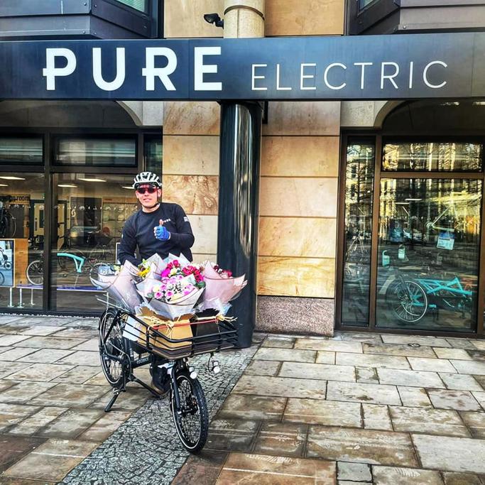 Pure Electric Review - Must Read This Before Buying