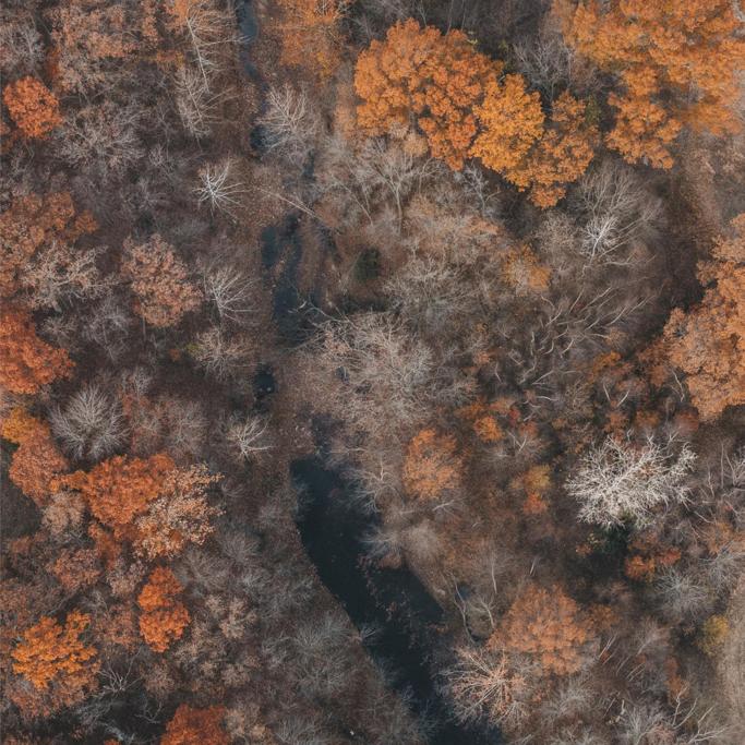 Sitka Review - Must Read This Before Buying