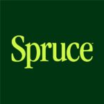Spruce Banking Review - Must Read This Before Buying