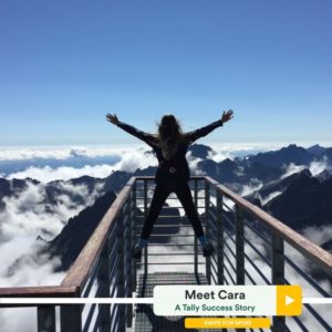 Tally Review - Must Read This Before Buying