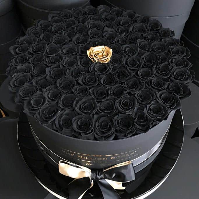 The Million Roses Review - Must Read This Before Buying