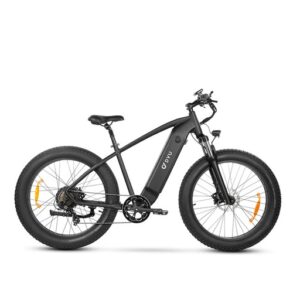DYU Ebike Review - Must Read This Before Buying