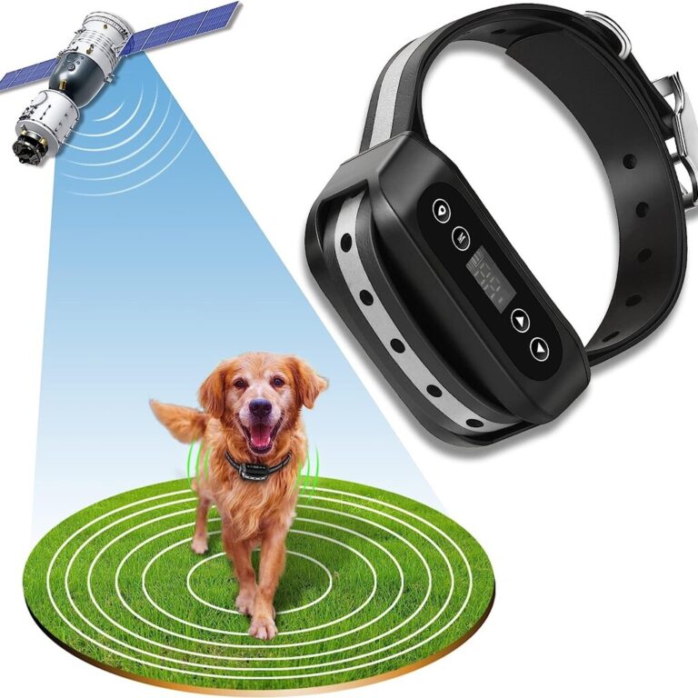 12 Best GPS Dog Fences - Must Read This Before Buying