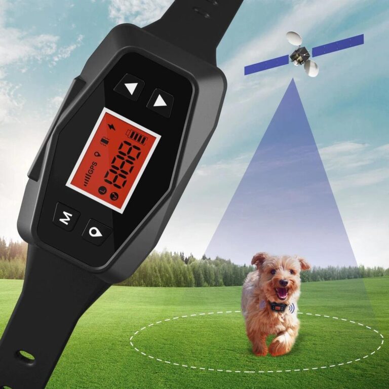 11 Best Wireless Dog Fences - Must Read This Before Buying