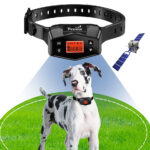 11 Best Wireless Dog Fences - Must Read This Before Buying
