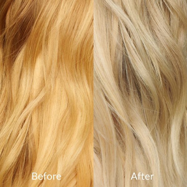 Purple Shampoo Before and After: Transform Your Blonde Hair - Must Read ...
