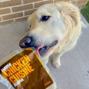 10 Best Fresh Dog Food Brands - Must Read This Before Buying